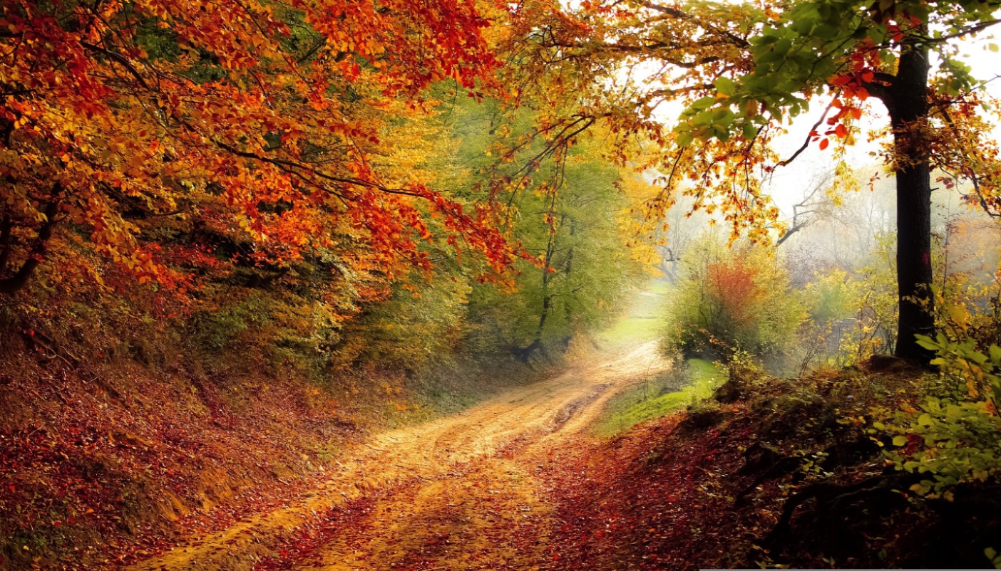 The Science Of Autumn Creating Tomorrow s Forests Restoring The Science Of Autumn Creating Tomorrow s Forests Restoring